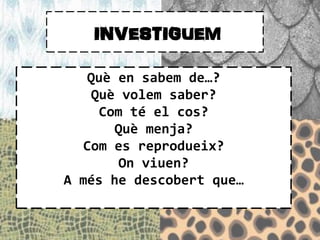 Projecte 3r 1718_animals | PDF