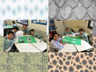 Projecte 3r 1718_animals | PDF