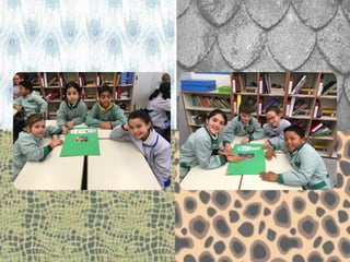 Projecte 3r 1718_animals | PDF