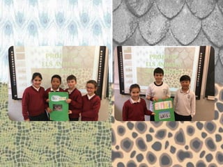 Projecte 3r 1718_animals | PDF