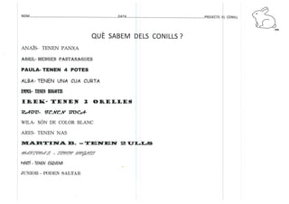 Projecte dels conills - P5 | PPT