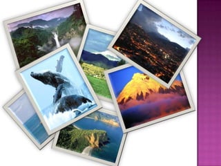 Project ecuador emily medina and paula leoro | PPTX