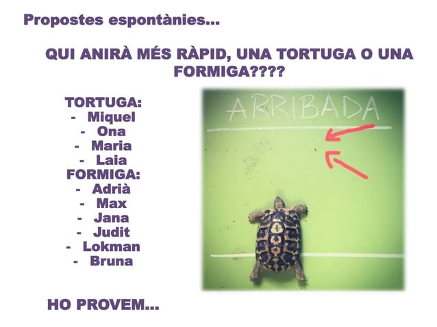 Projecte de les tortugues | PPTX