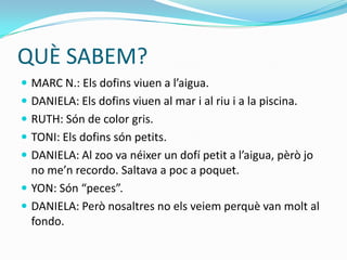 Projecte dels dofins final | PPT