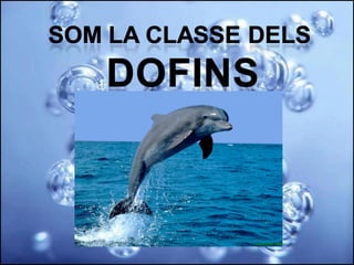 Projecte dofins p4 a | PPT