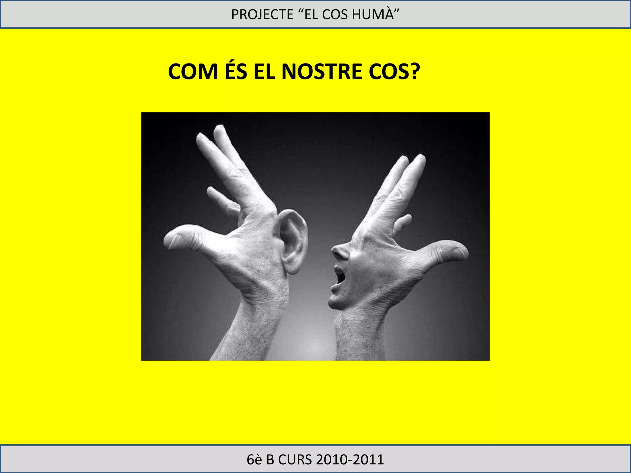 Projecte El Cos Huma Pptx