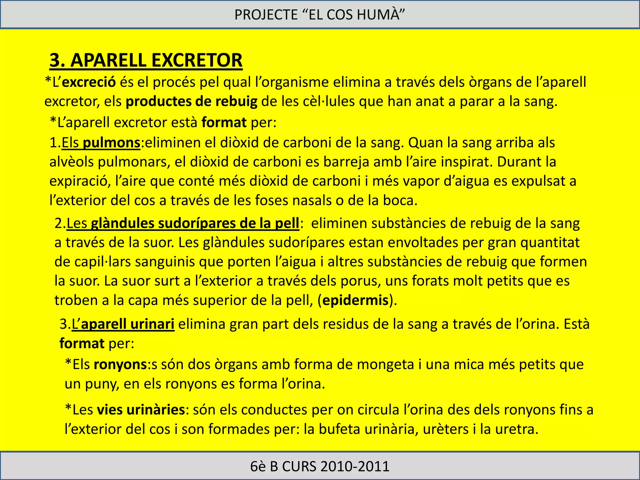 Projecte El Cos Huma Pptx