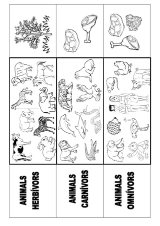 Projecte els animals. Infantil 4 anys. | PDF