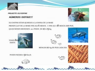 Projecte els dofins2013 | PPTX