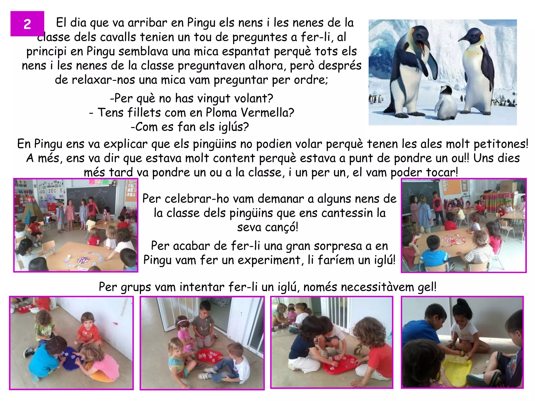 Projecte la casa comprimit | PPT
