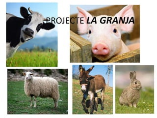 Projecte la granja P-3 A | PPTX