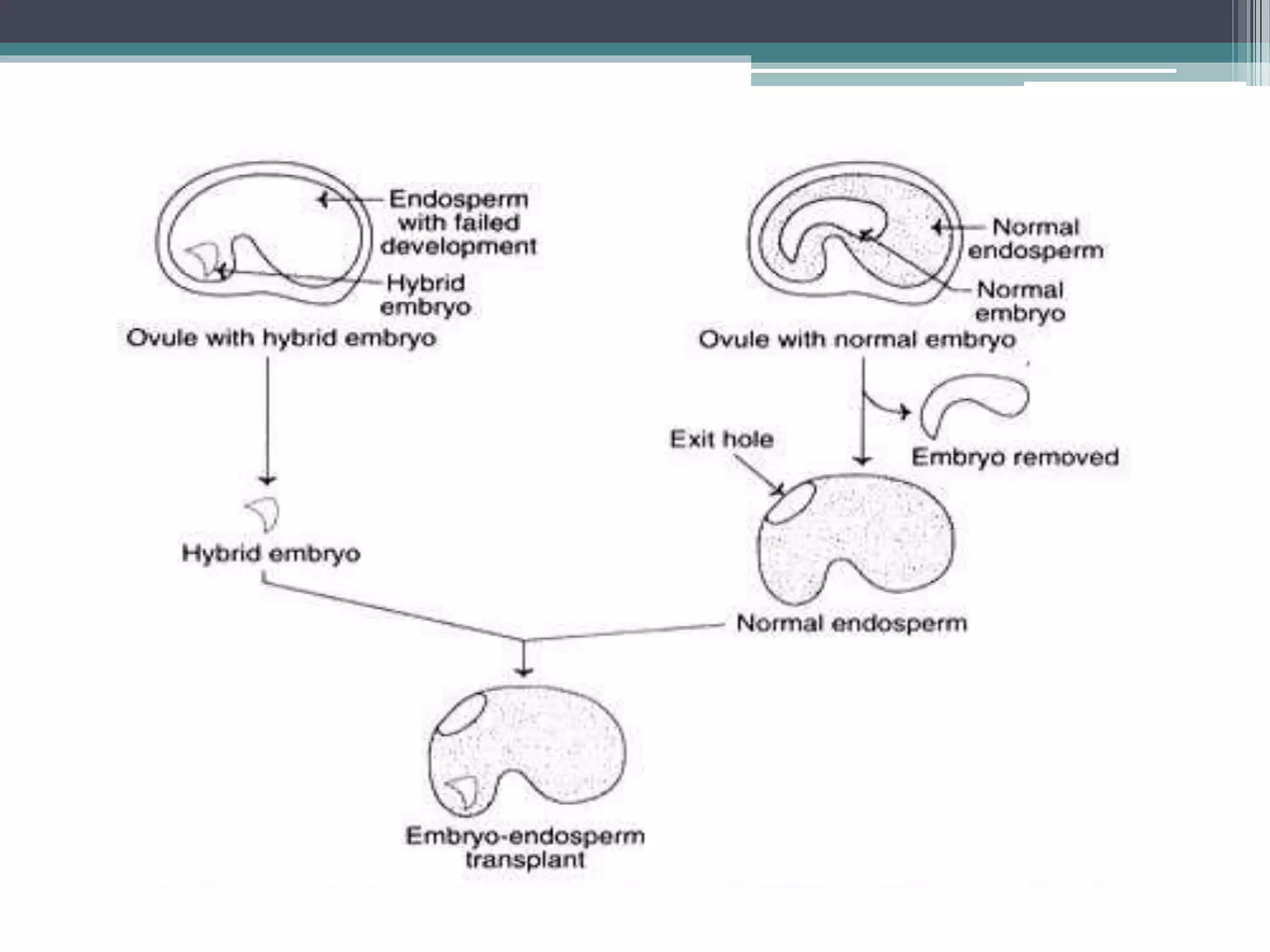 Embryo Culture - Aspects, Types & Application | PPTX