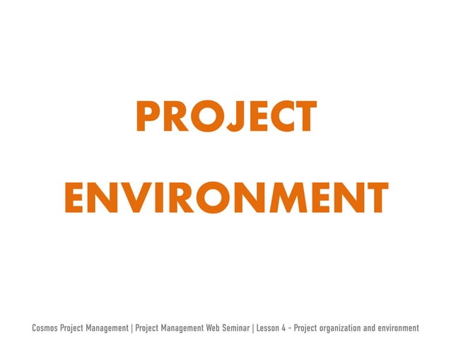 Project environment | PDF | Business | Business and Finance
