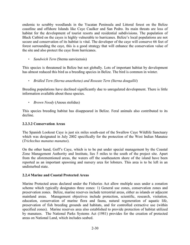 Project environment | PDF