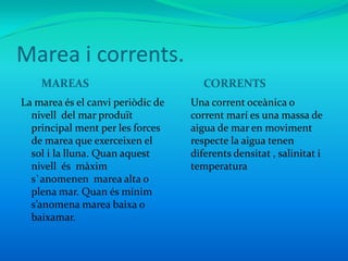 Projecte oceá. pau, bravo, paula, dídac | PPT