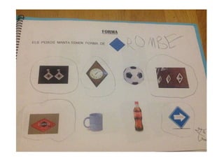 Projecte peix manta | PDF