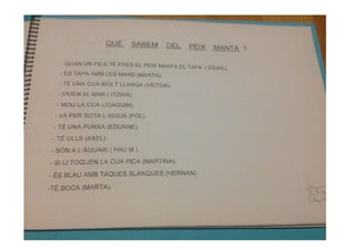 Projecte peix manta | PDF