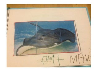 Projecte peix manta | PDF