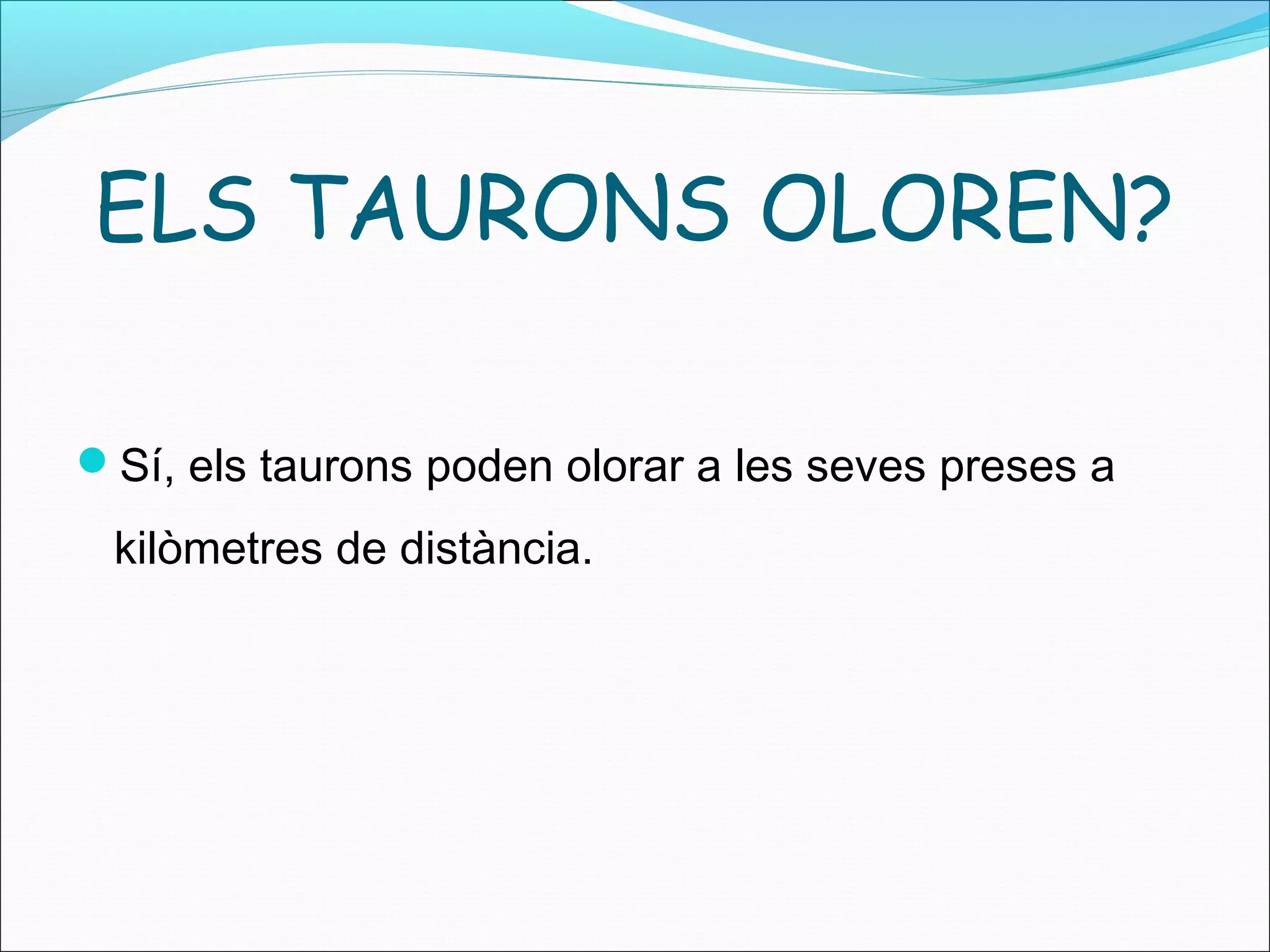 Projecte taurons | PPS