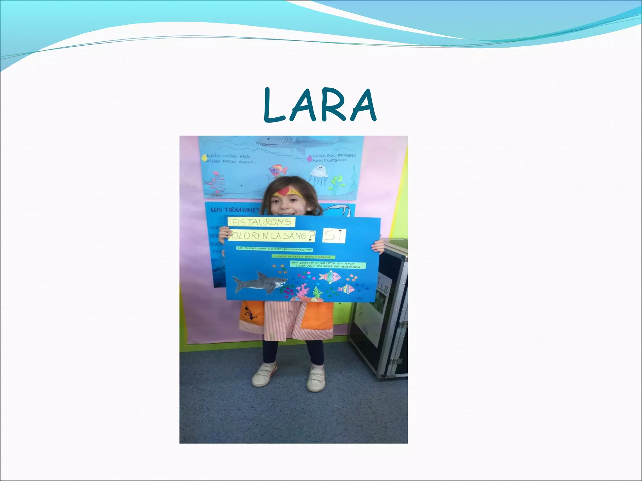 Projecte taurons | PPS