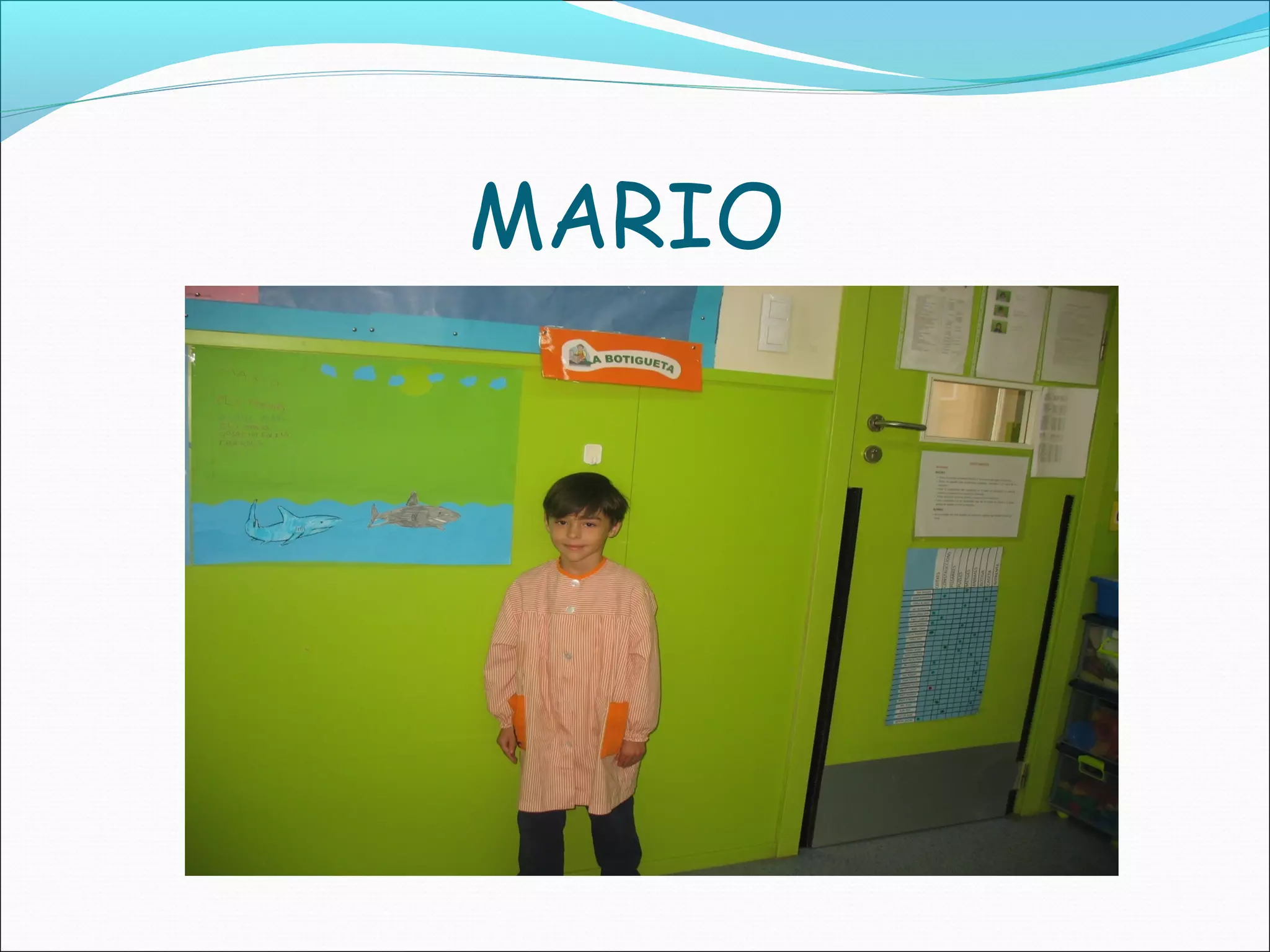 Projecte taurons | PPS