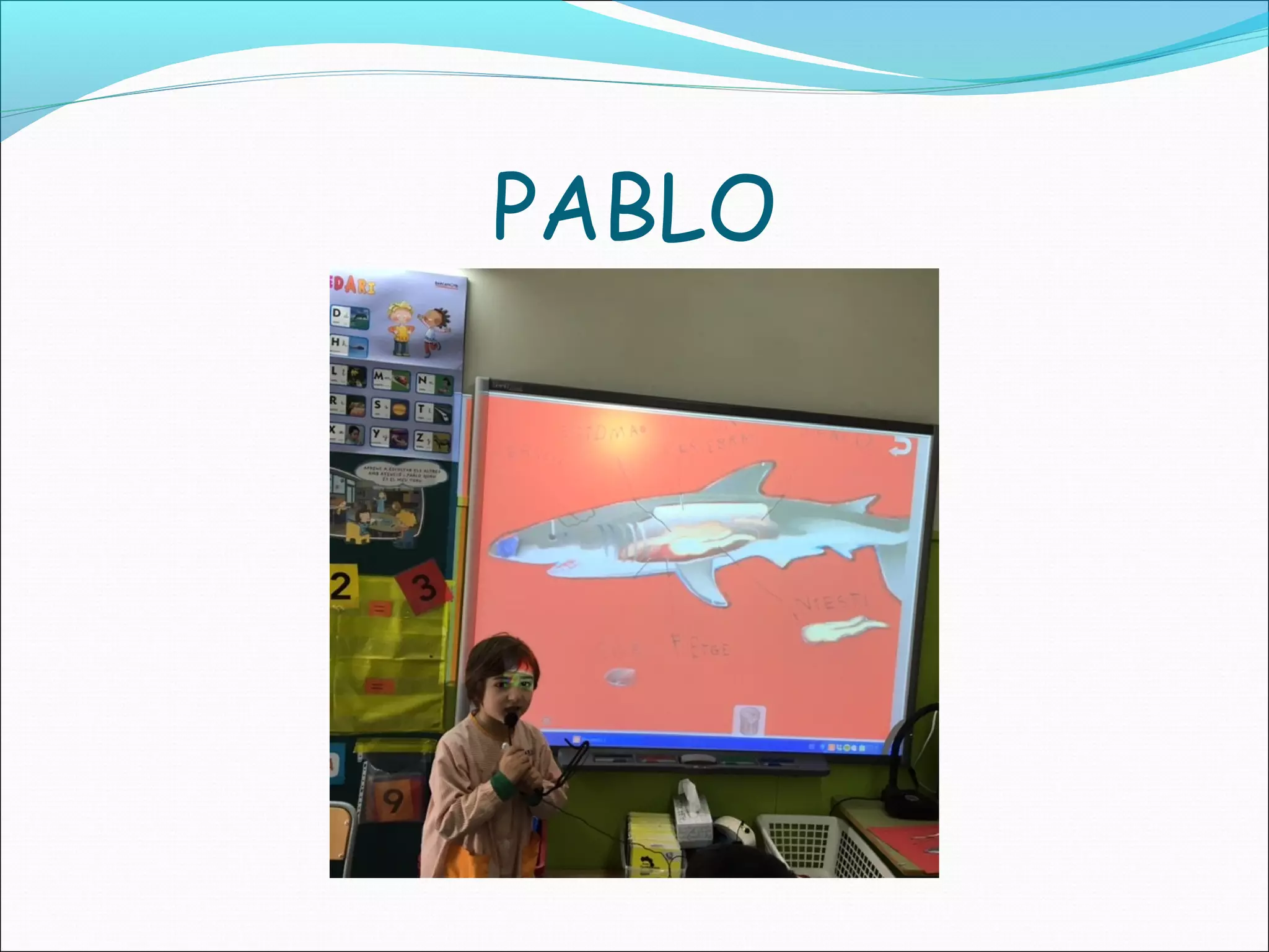 Projecte taurons | PPS