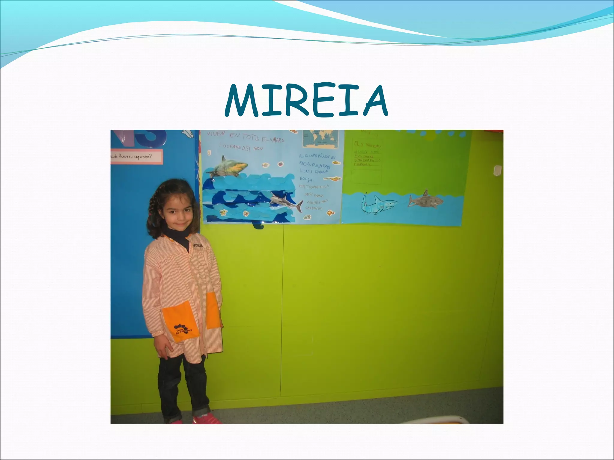 Projecte taurons | PPT