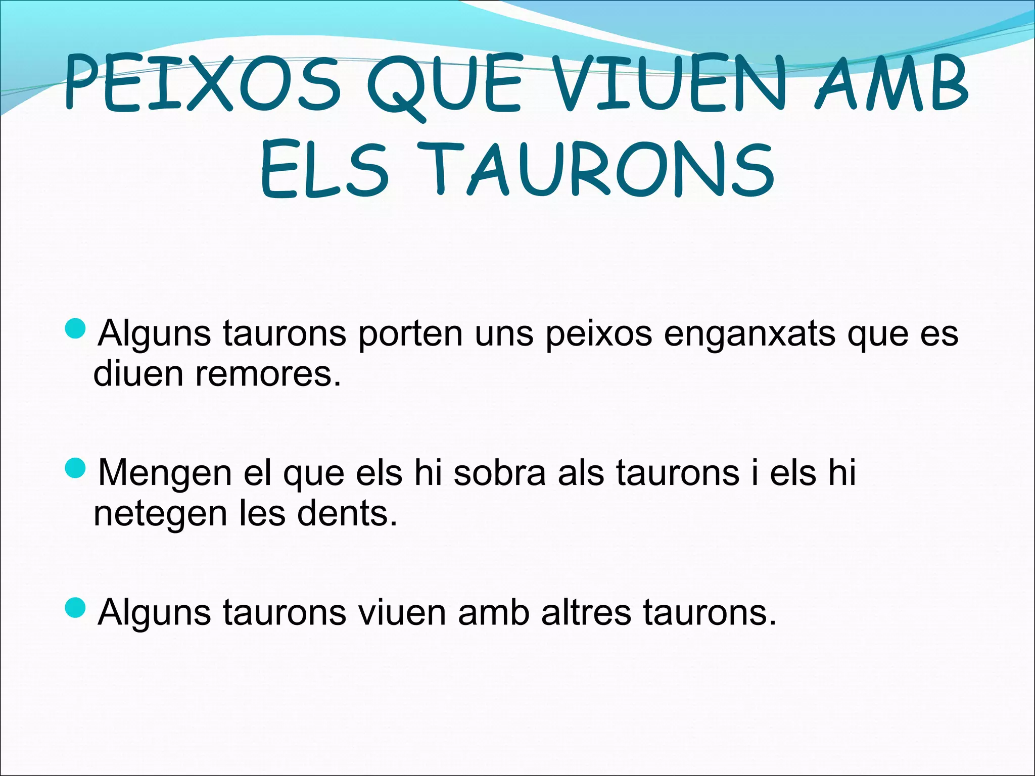 Projecte taurons | PPS