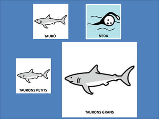 Projecte taurons spc | PPT