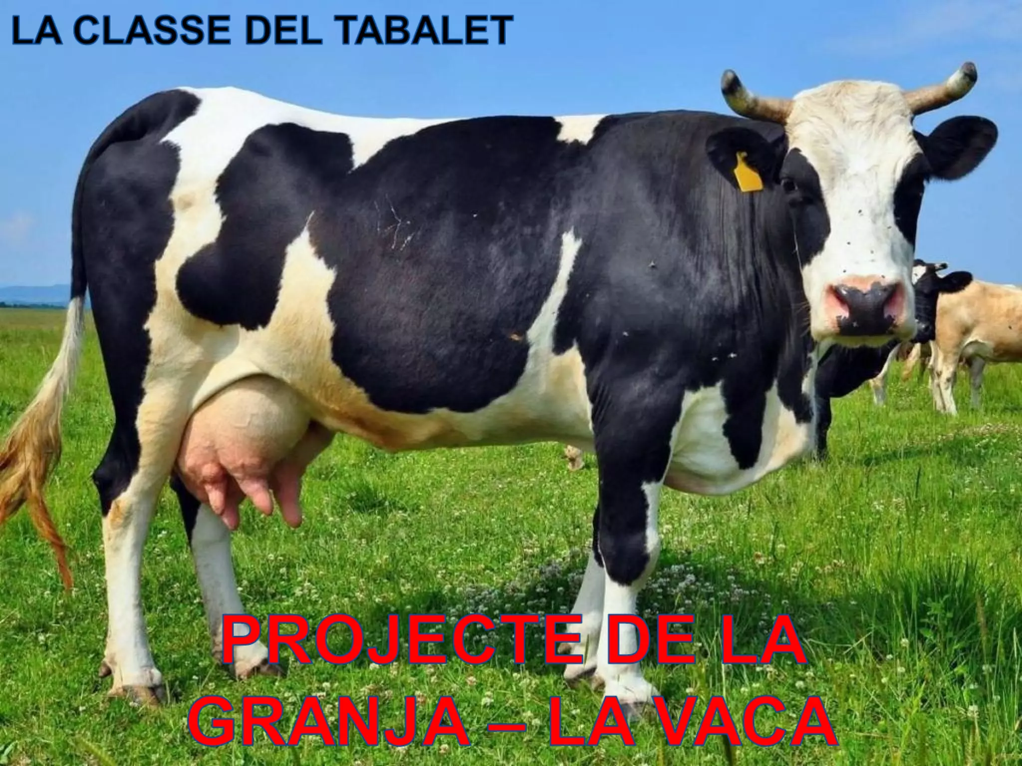 vaca | PPT