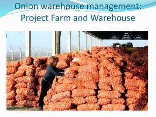 Onion Warehouse Management | PPTX | Agriculture | Industries
