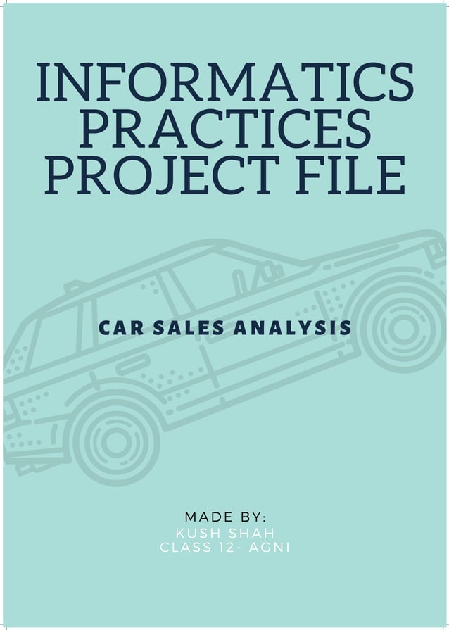 Informatics Practices Information Practices Project Ip Project Class