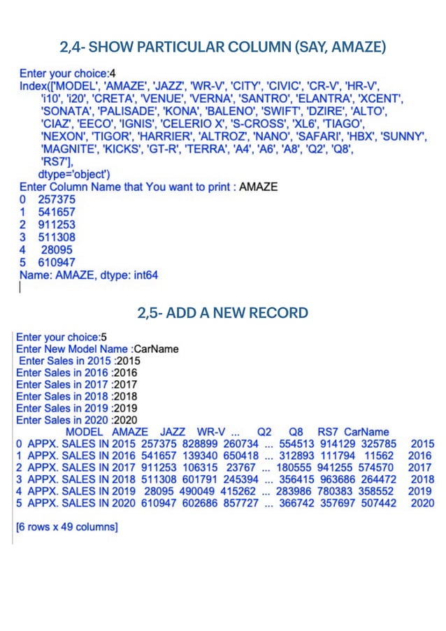 Informatics Practices/ Information Practices Project (IP Project Class ...