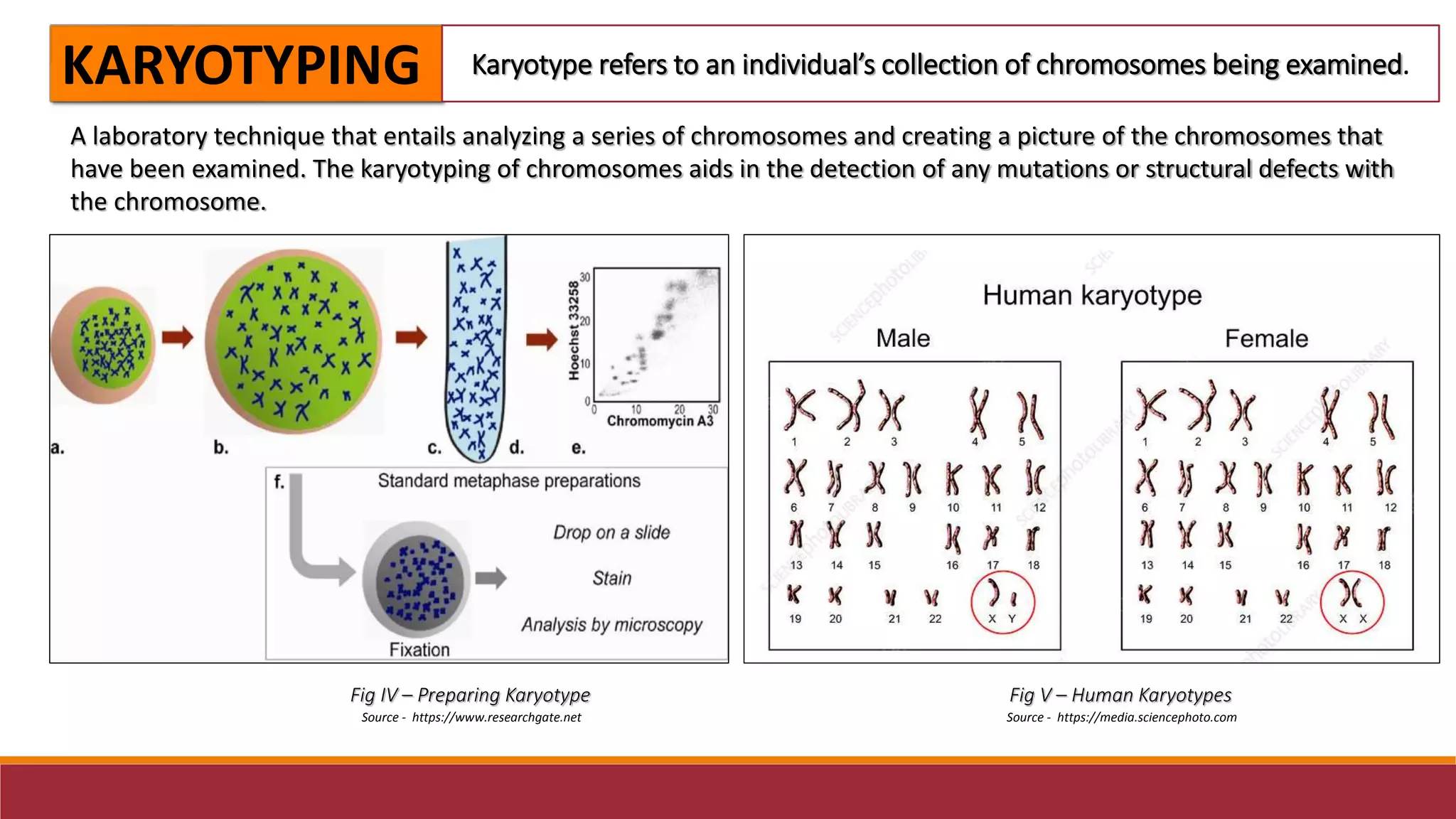 Genetic disorders & its detection using Karyotyping | PPTX