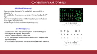 Genetic disorders & its detection using Karyotyping | PPTX