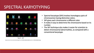 Genetic disorders & its detection using Karyotyping | PPTX
