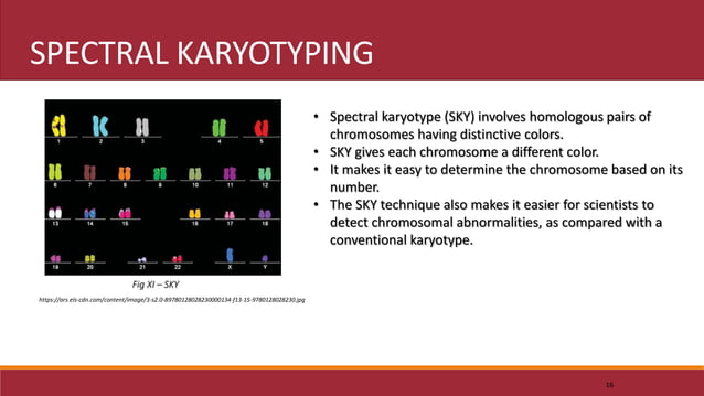 Genetic disorders & its detection using Karyotyping | PPTX