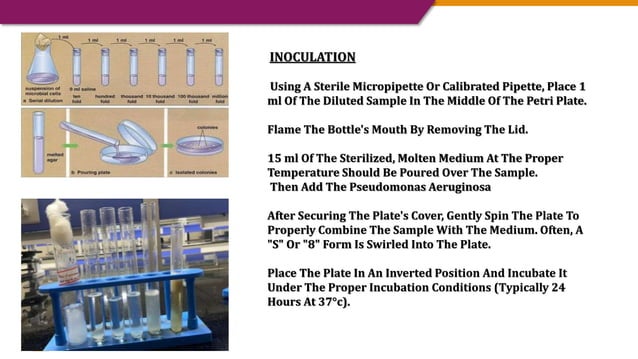Project Final PPT The End part 3 finalll (1).pptx | Free Download