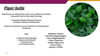 Project Final PPT The End part 3 finalll (1).pptx