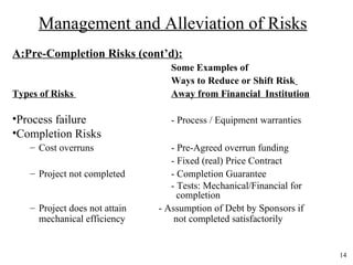 Project finance emu | PPT