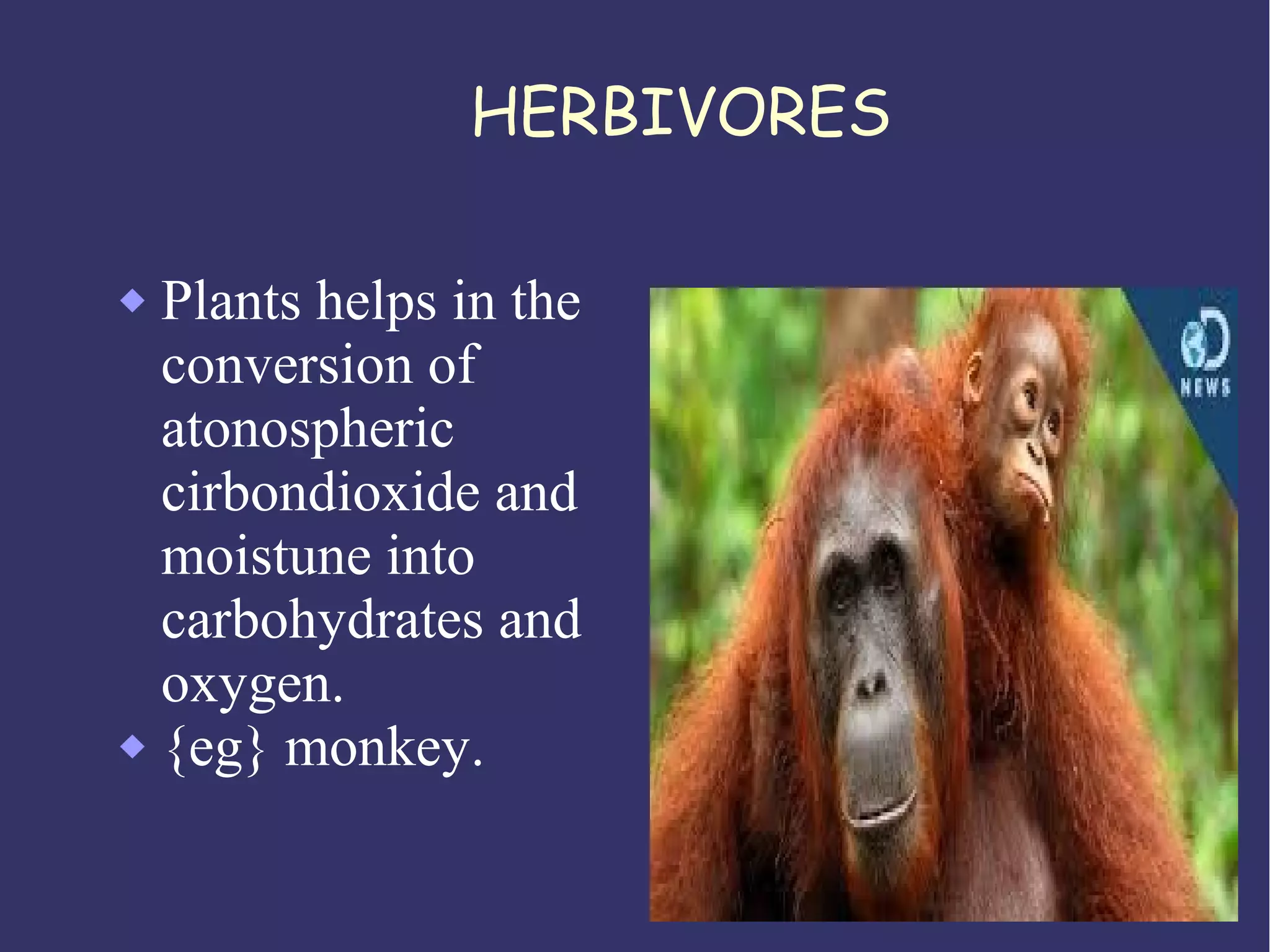 TYPES OF ANIMALS | PPT