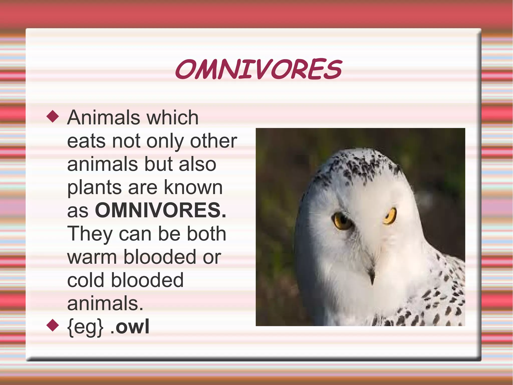 TYPES OF ANIMALS | PPT
