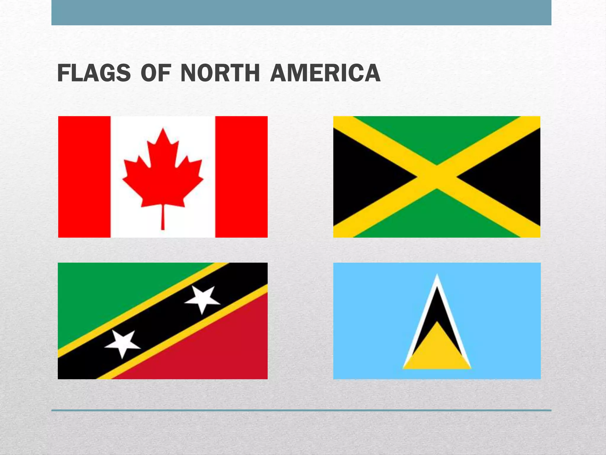 Project flags | PPT