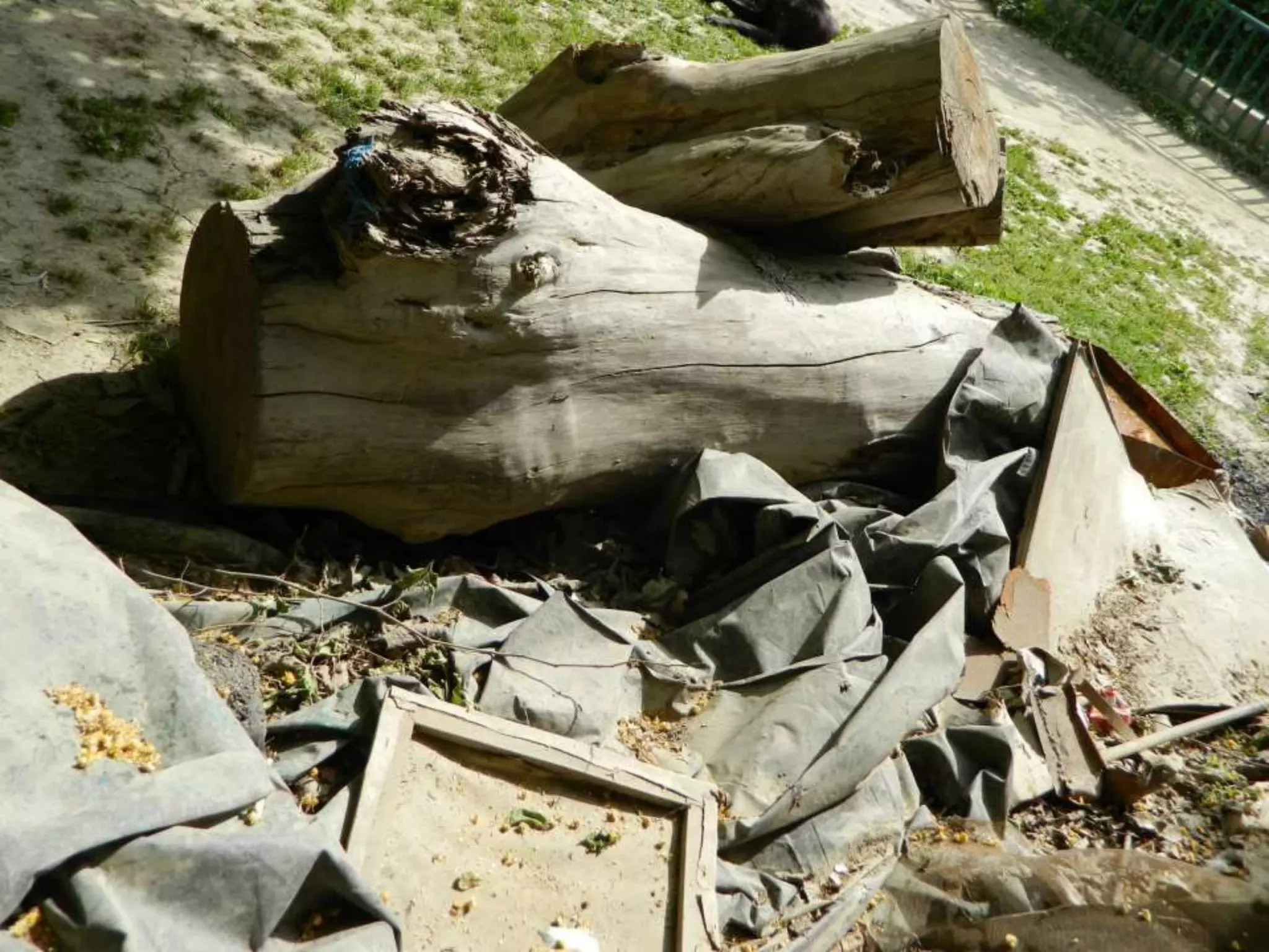 Kashmir Floods 2014 through Lense | PPTX