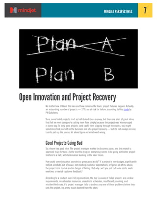 Project-Focused Innovation | PDF | Business Administration | Business