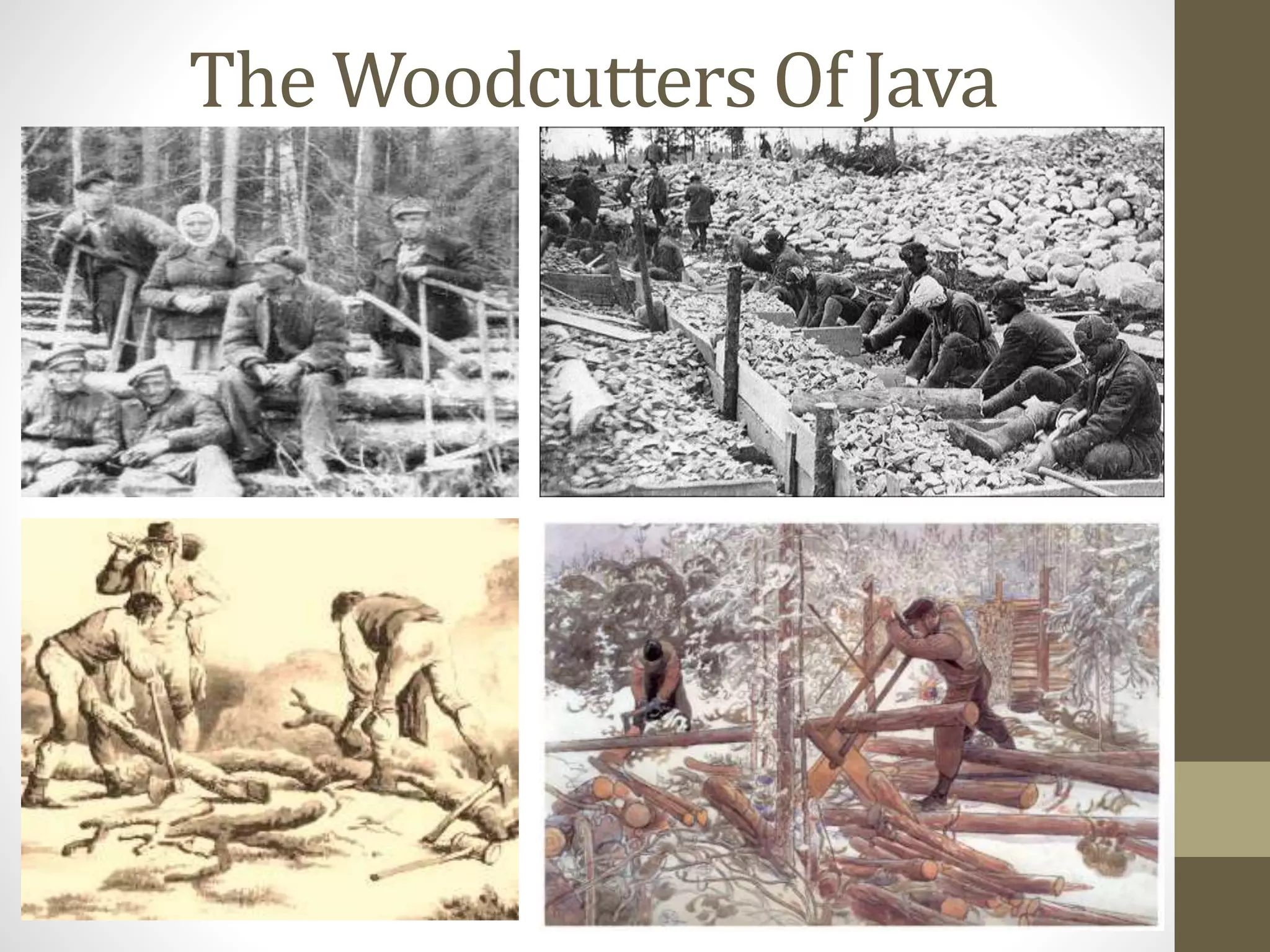 Forest society and colonialism | PPTX