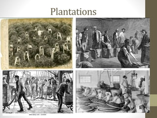 Forest society and colonialism | PPTX