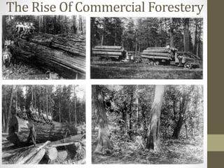 Forest society and colonialism | PPTX