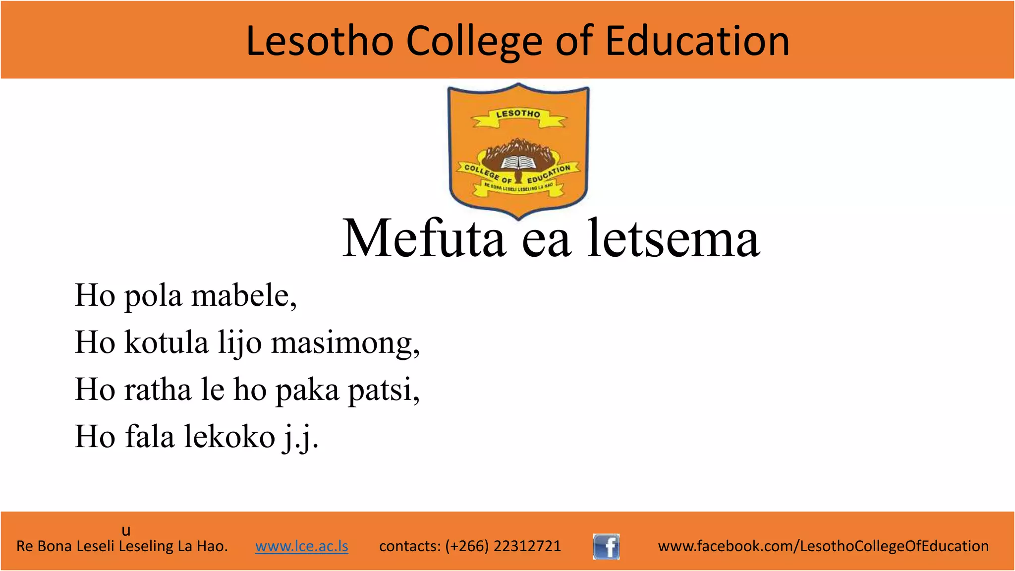 Project for marumo | PPT