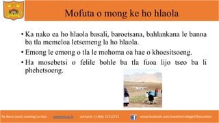 Project for marumo | PPT